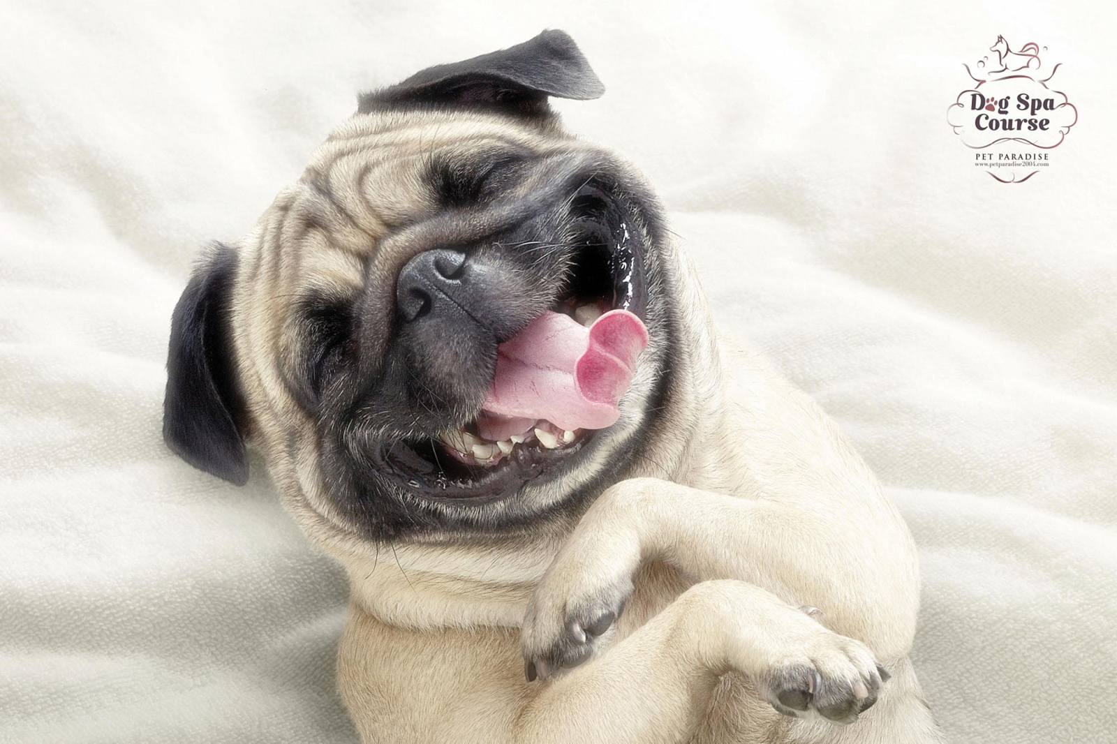 32 Creative Ads From Around the World - Joyenergizer