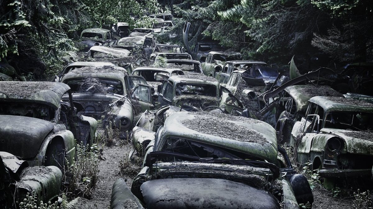 33 Abandoned Places Where Nature Has Reclaimed the Earth - Joyenergizer