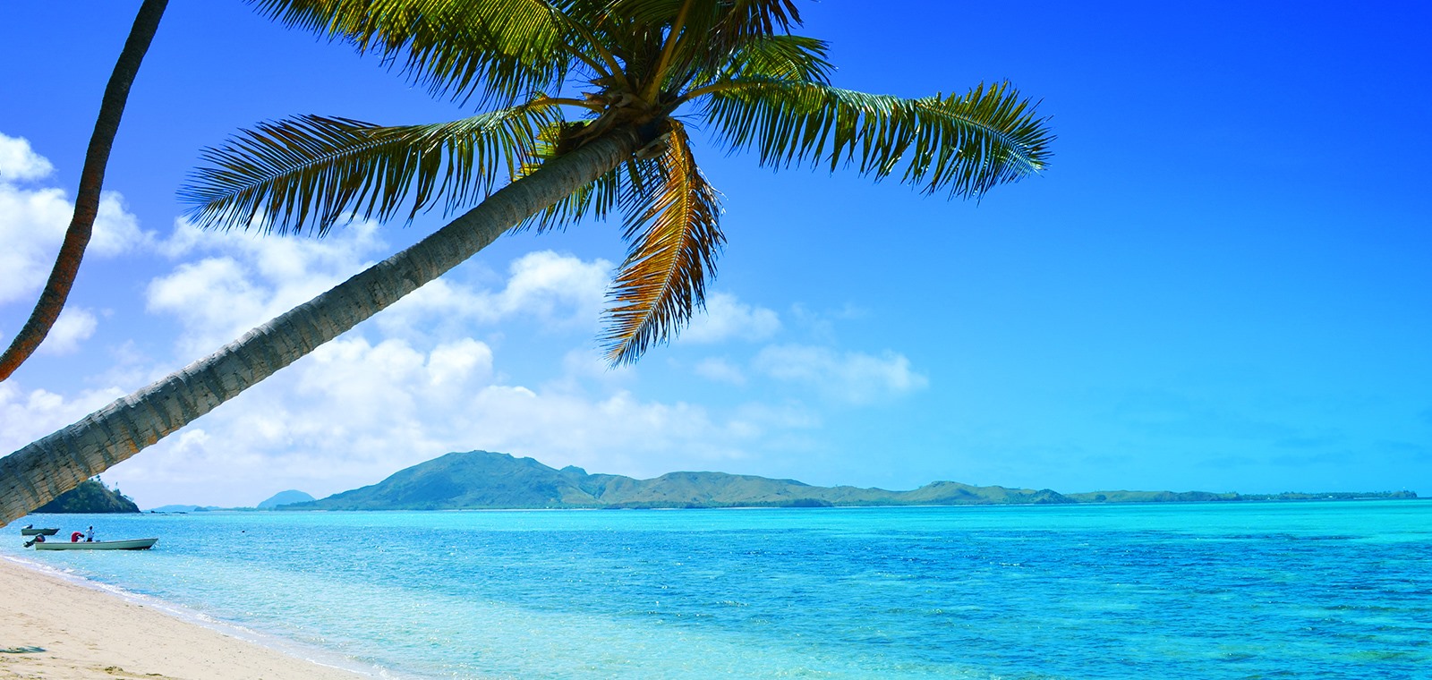 5 Things You Should Try Out on Your Fiji Grad Trip - Joyenergizer
