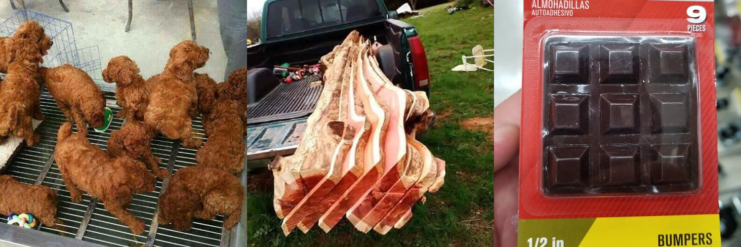 25 Things That Look Like Tasty Food But Aren't - Joyenergizer