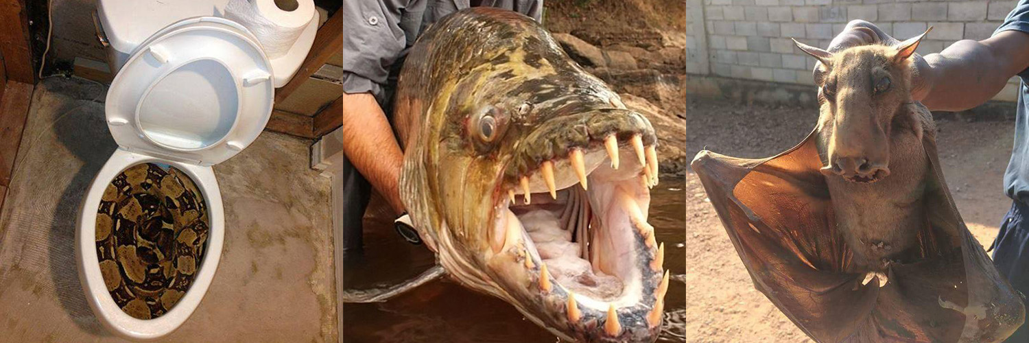 35 More Images That Prove That Nature is Scary as S**t! - Joyenergizer