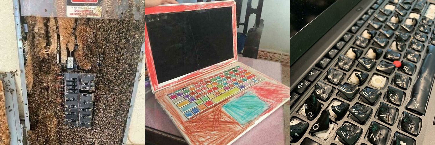 40 Hilarious Times Tech Support Said "Oh Hell No!" - Joyenergizer