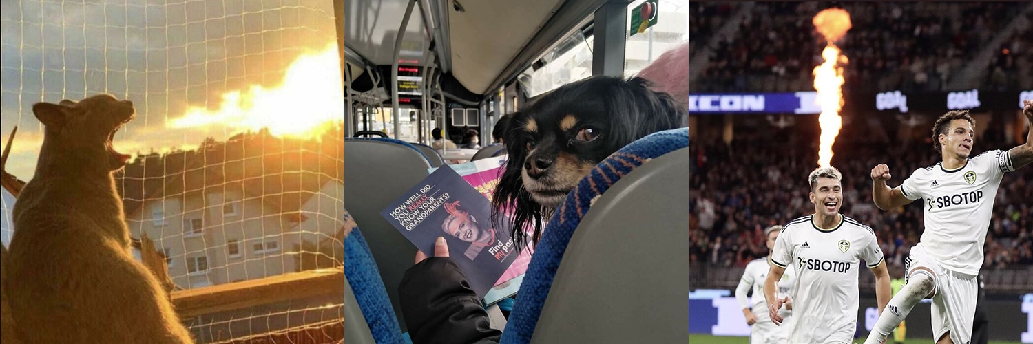 50 Rather Confusing Photos That Will Make You Look Twice - Joyenergizer