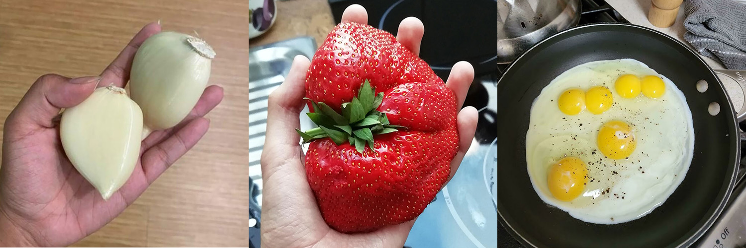 40 Times People Hit the Jackpot on the Food lottery - Joyenergizer